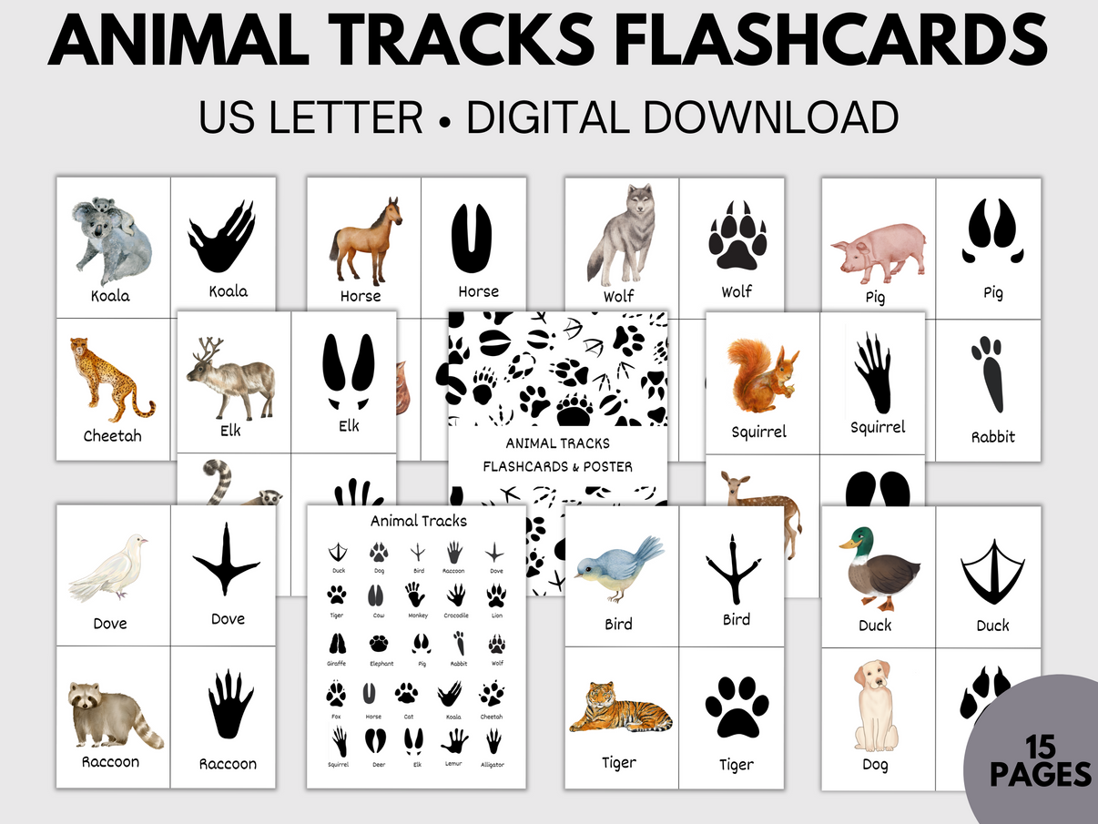 Printable Animal Tracks Flashcards & Poster – Nature Learning for Kids ...