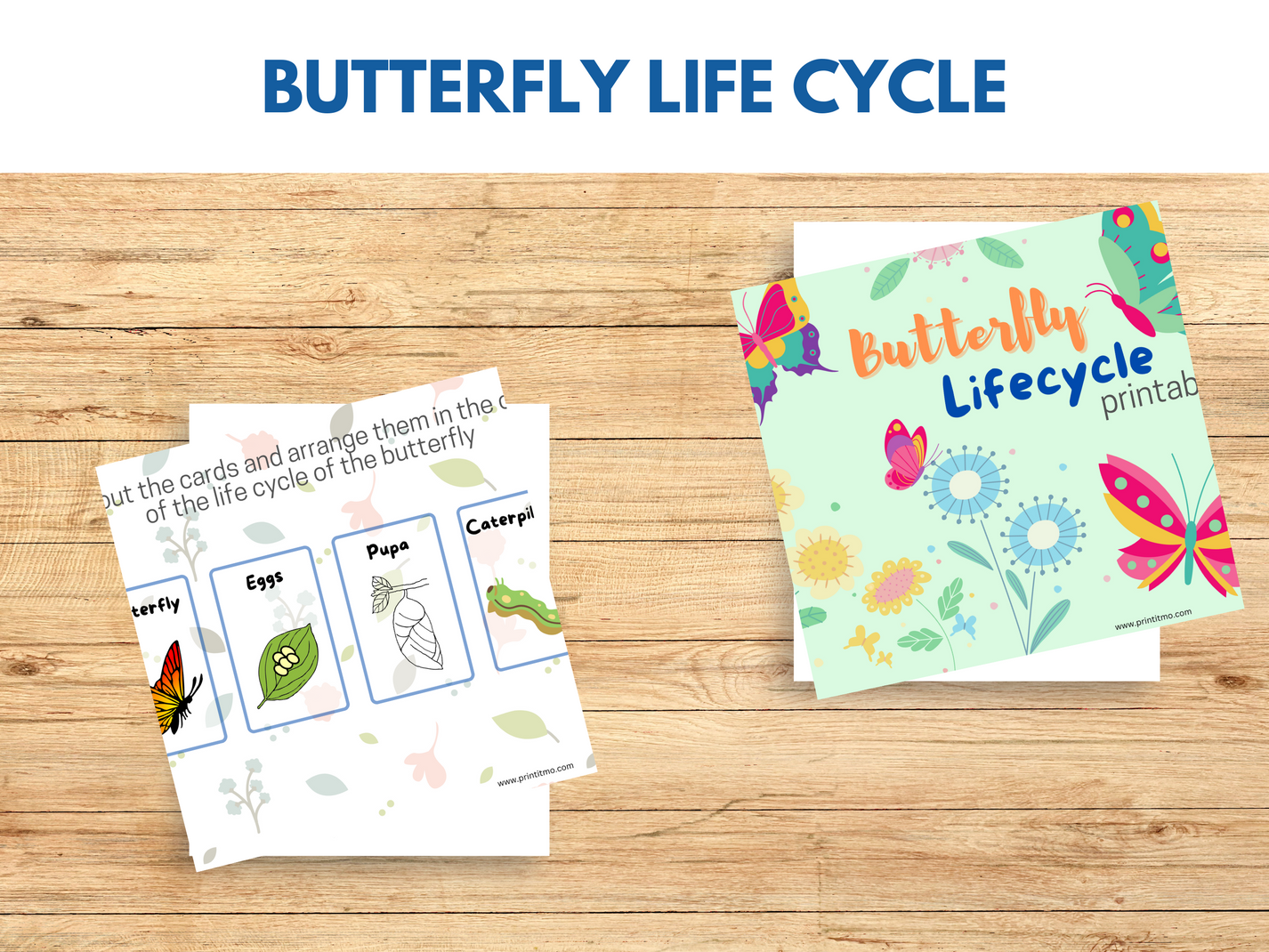 Life Cycle Of A Butterfly Printable – Print It Mo
