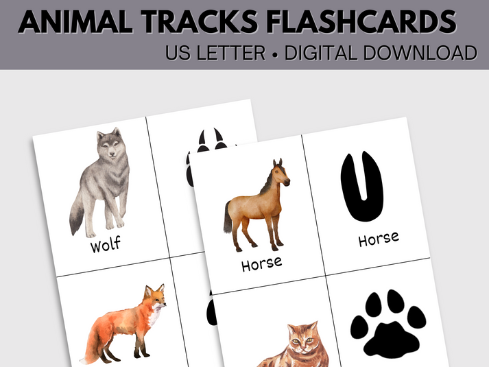 Printable Animal Tracks Flashcards & Poster – Nature Learning for Kids ...