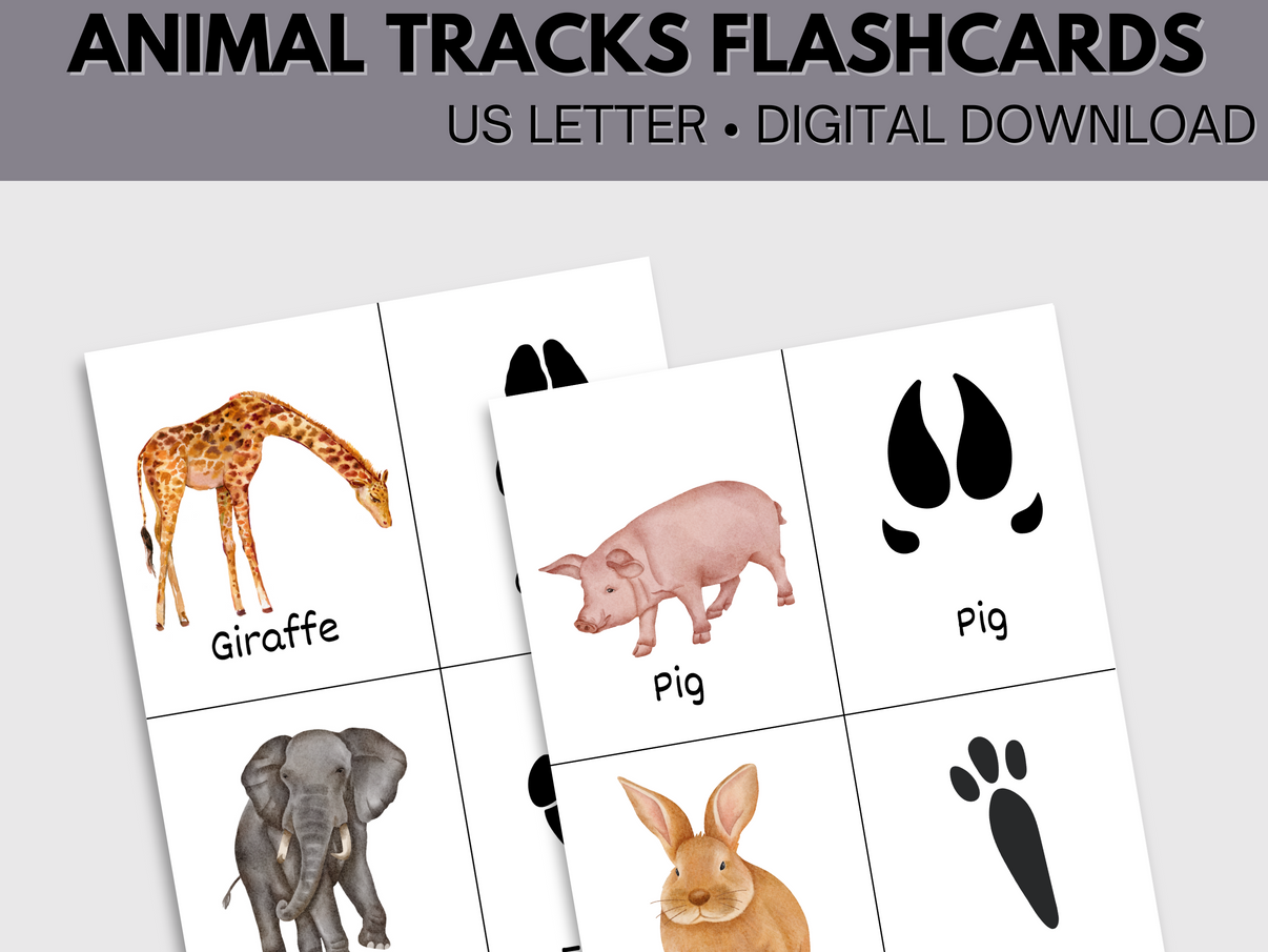 Printable Animal Tracks Flashcards & Poster – Nature Learning for Kids ...
